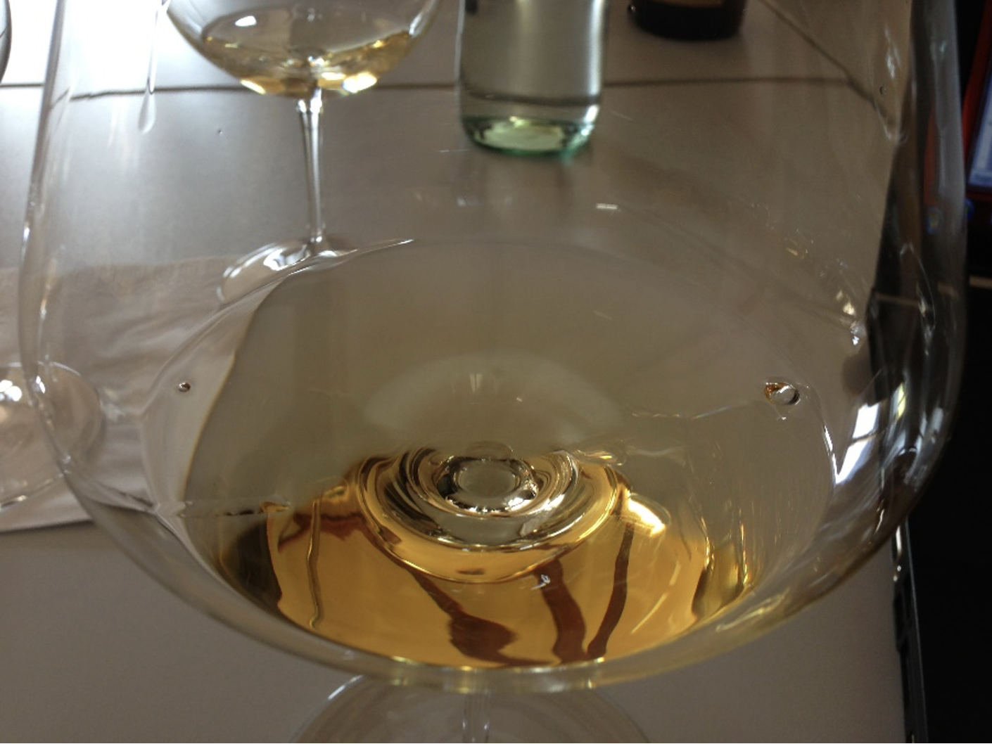 Butterscotch on a picnic table - Tim Gaiser MS